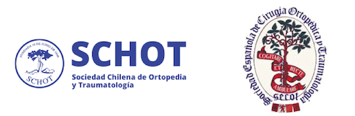 Beca de Intercambio internacional Hispano – Chilena de Cirugía ...