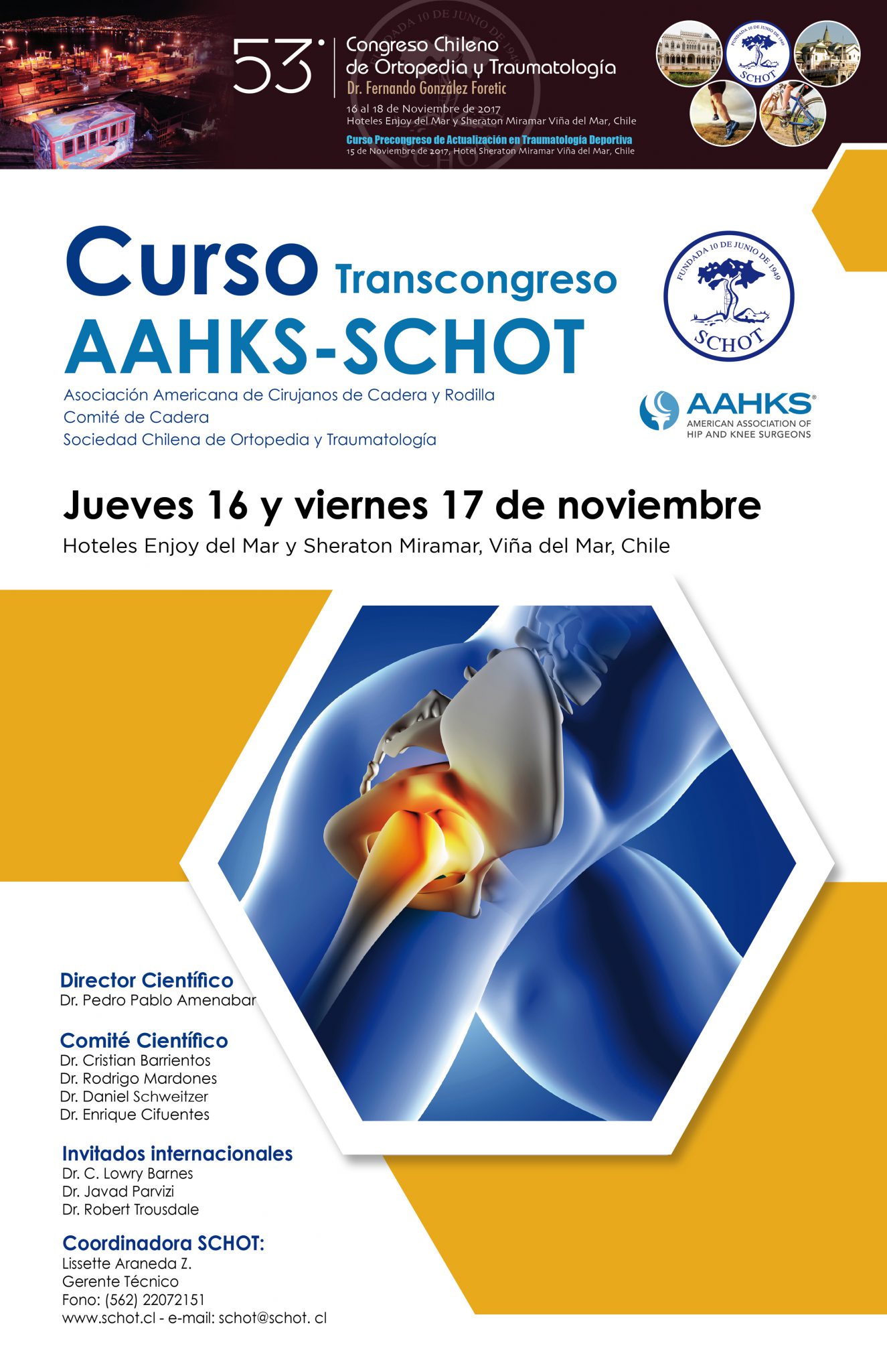 Curso AAHKS 2017 – SCHOT