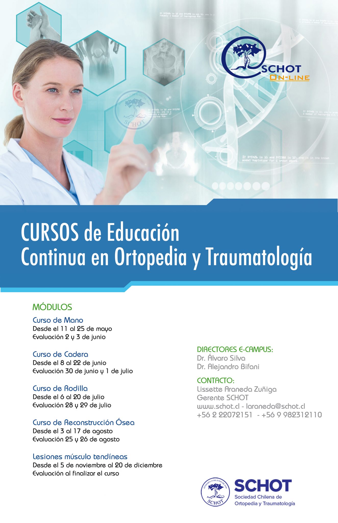 Curso on line 2018 – SCHOT