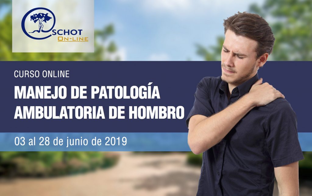 Curso online 2019 – SCHOT