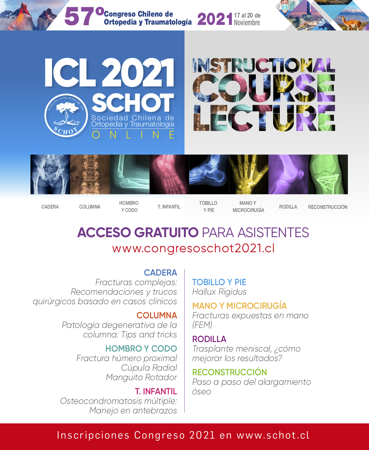 Presentación Instructional Course Lectures 2021 – SCHOT