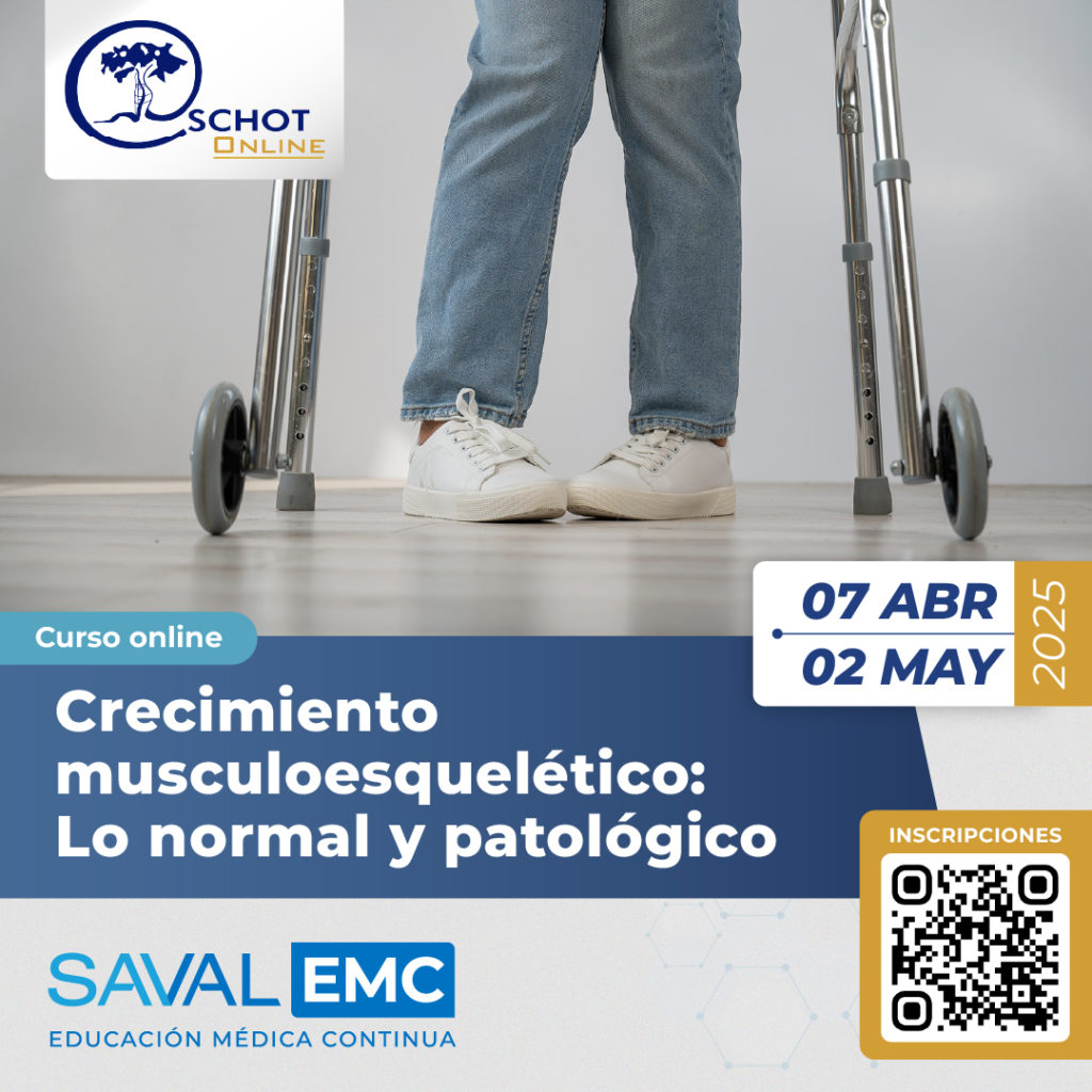 Cursos Online – SCHOT